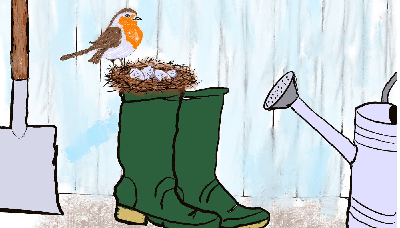How to Encourage Robins Nesting – Home & Roost
