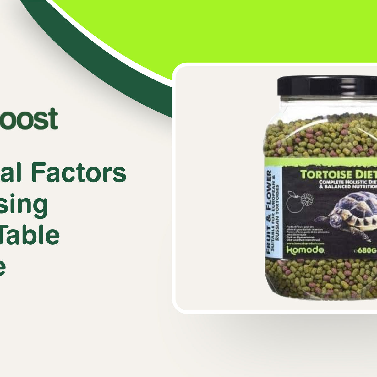 5 Essential Factors for Choosing Tortoise Table Substrate – Home & Roost