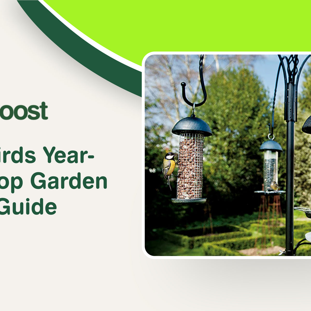 Attract Birds Year-Round: Top Garden Feeders Guide – Home & Roost