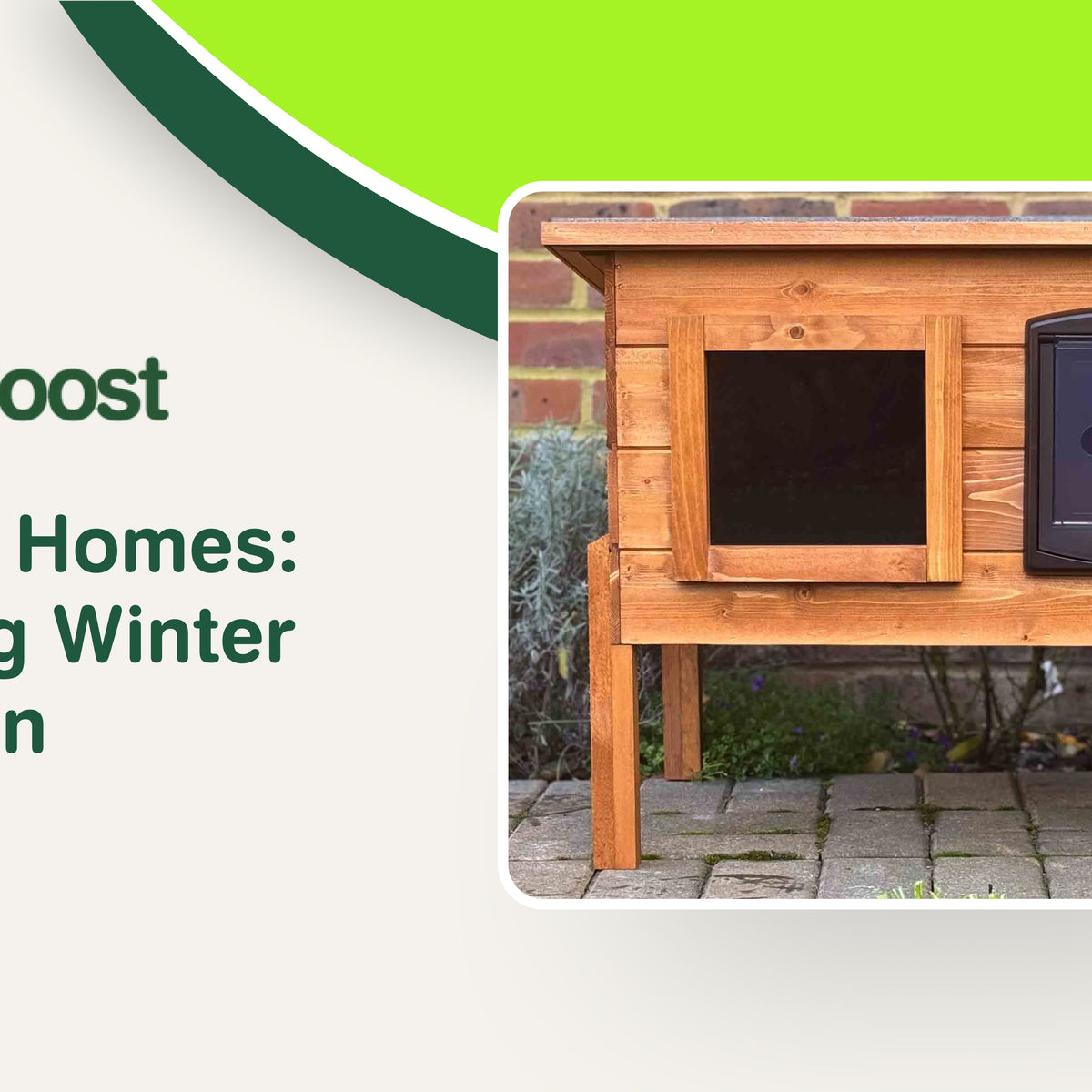 Cosy Pet Homes: Mastering Winter Ventilation – Home & Roost
