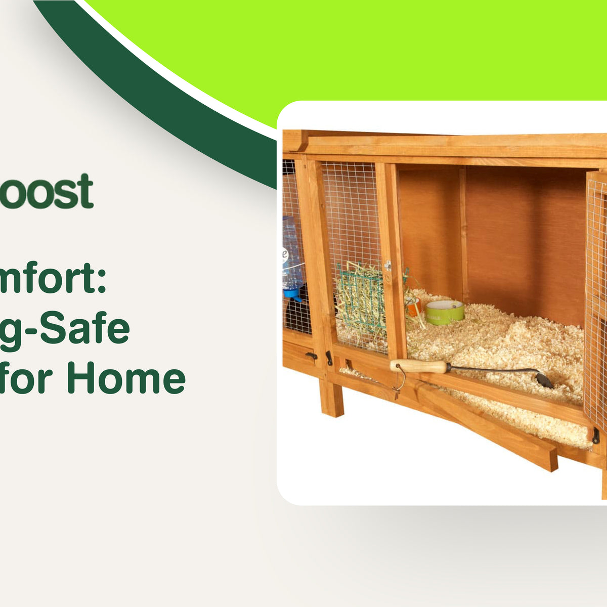 Cozy Comfort: Hedgehog-Safe Bedding for Home & Roost