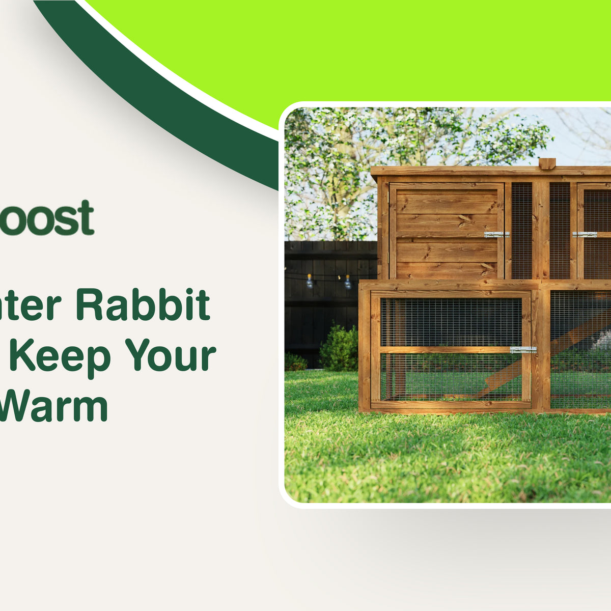Cozy Winter Rabbit Hutches: Keep Your Bunnies Warm – Home & Roost