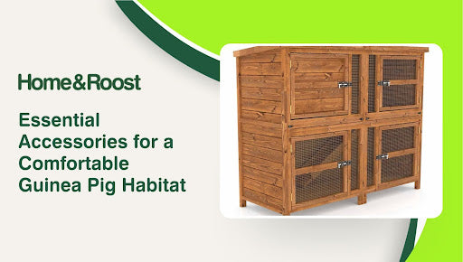 Essential Accessories for a Comfortable Guinea Pig Habitat – Home & Roost