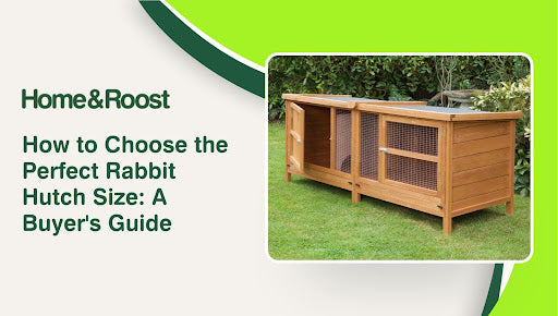 How to Choose the Perfect Rabbit Hutch Size: A Buyer's Guide – Home & Roost