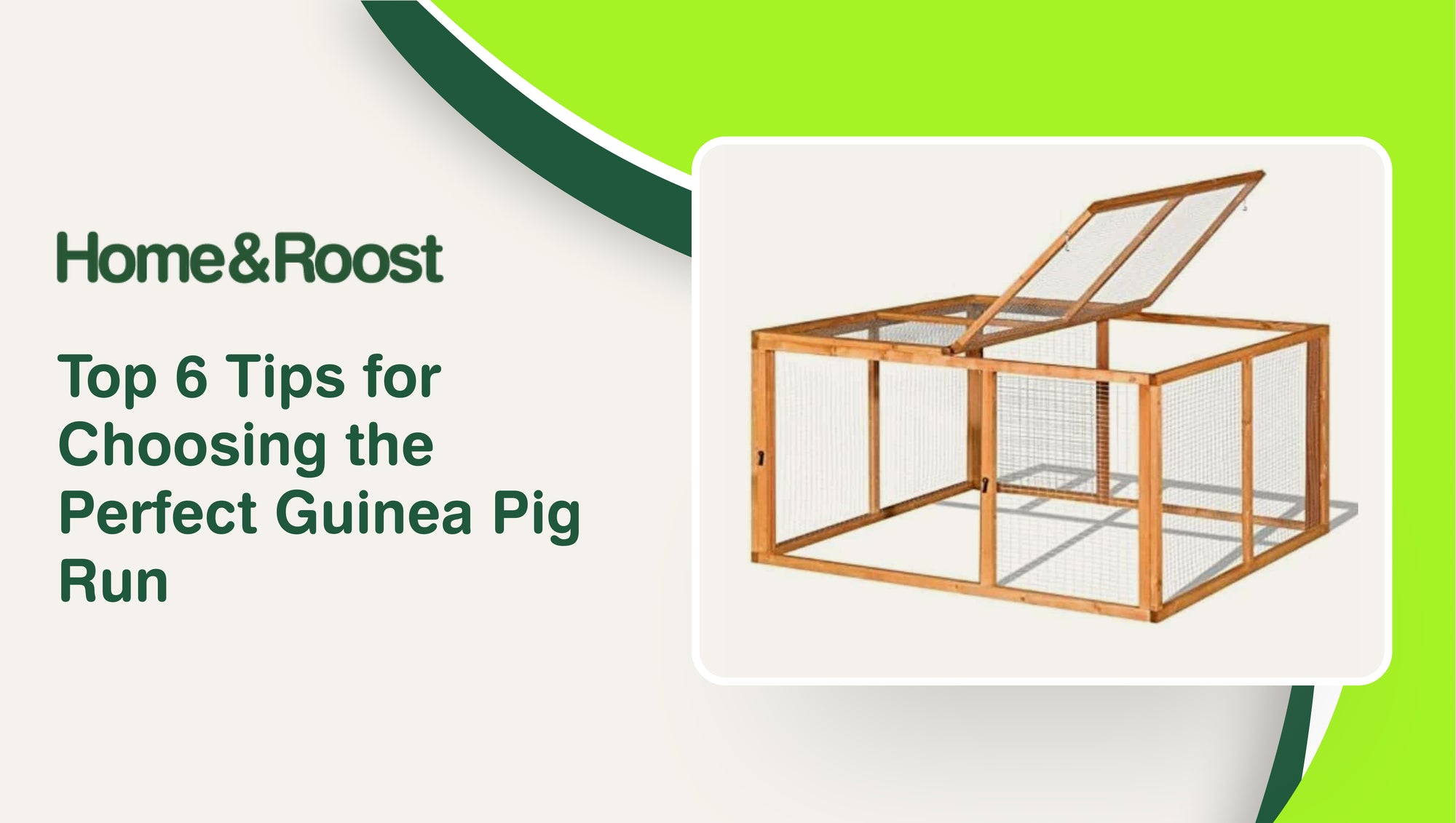 Top 6 Tips for Choosing the Perfect Guinea Pig Run – Home & Roost