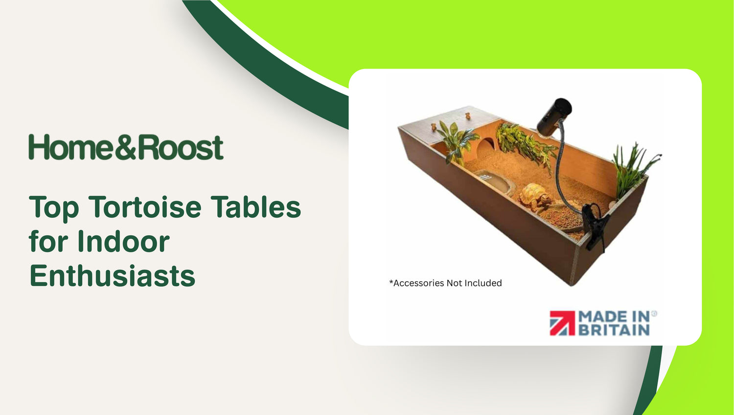 Top Tortoise Tables for Indoor Enthusiasts – Home & Roost