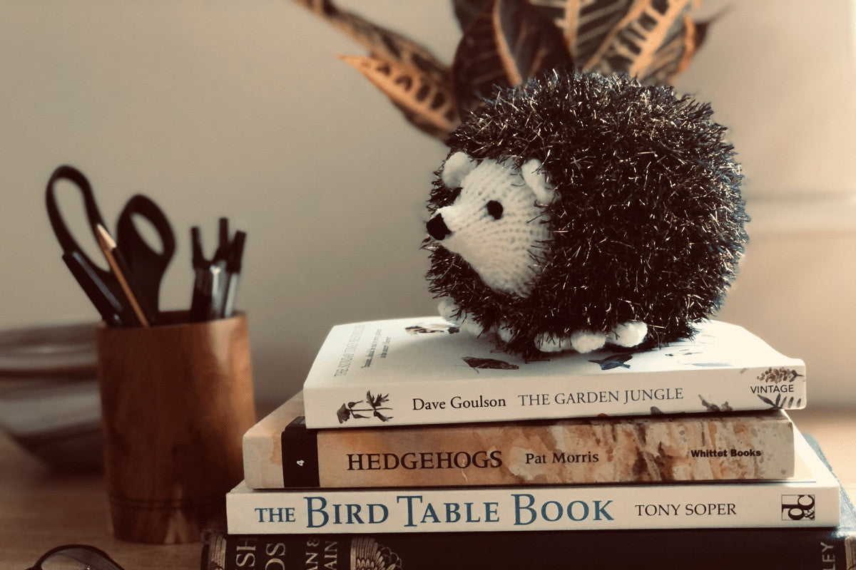 The Best Hedgehog Books 2020 – Home & Roost