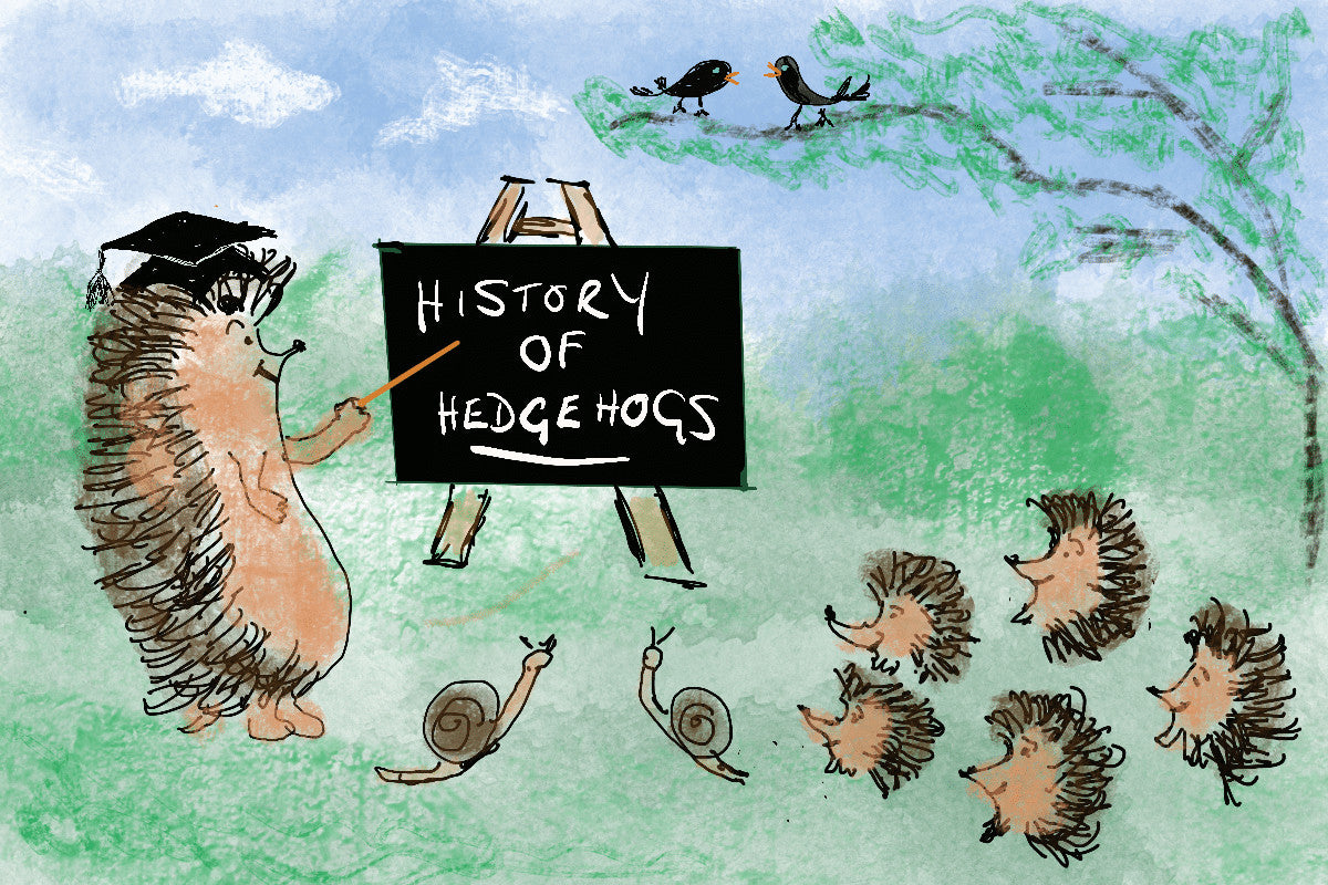 The History of Hedgehogs | 15 Million Years and Counting! – Home & Roost