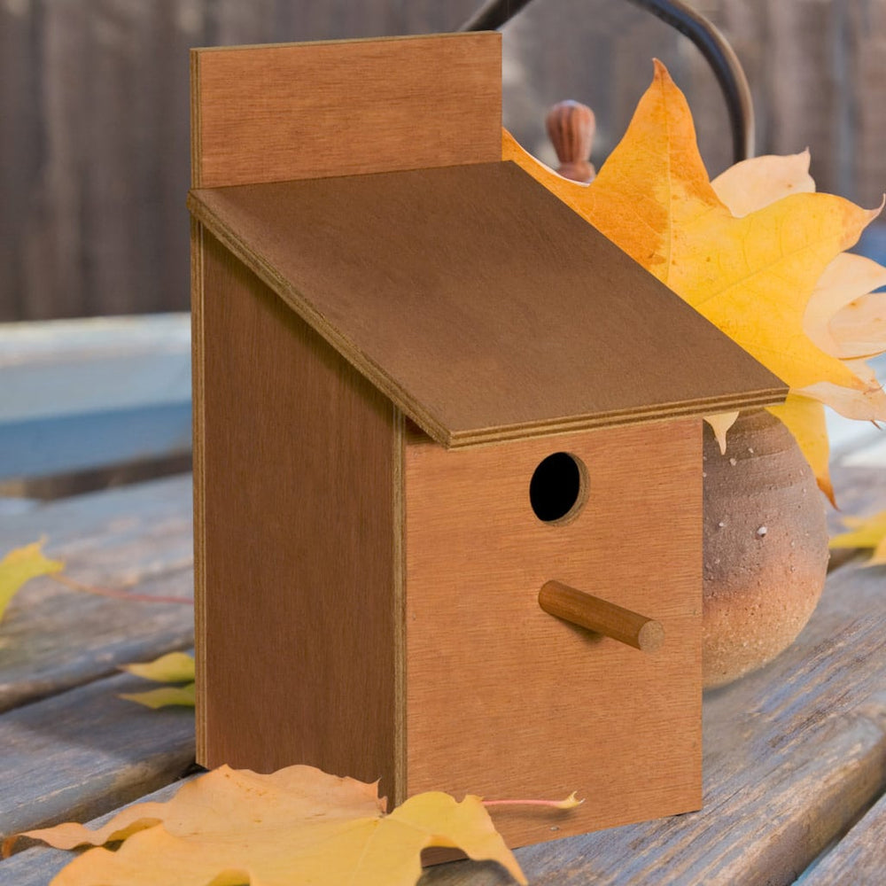 How to Encourage Robins Nesting – Home & Roost