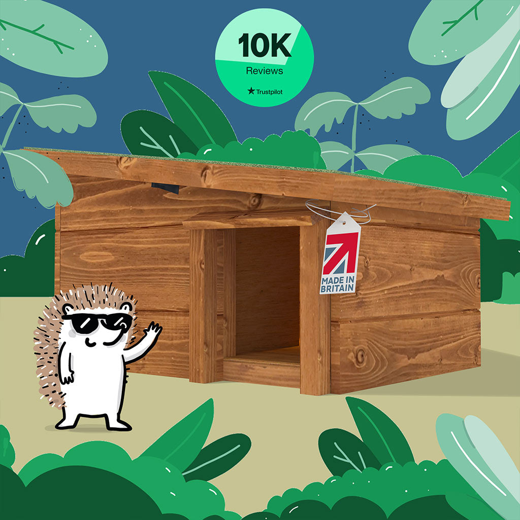 Hedgehogs in Your Garden | How to Spot the Signs – Home & Roost