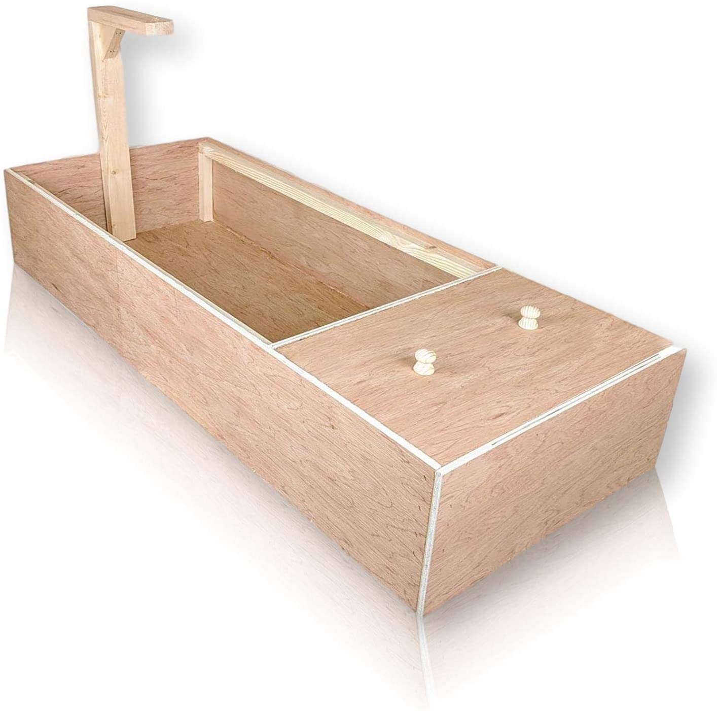 Tortoise Shell Rot | How to Spot, Prevent and Treat This Dangerous Con ...