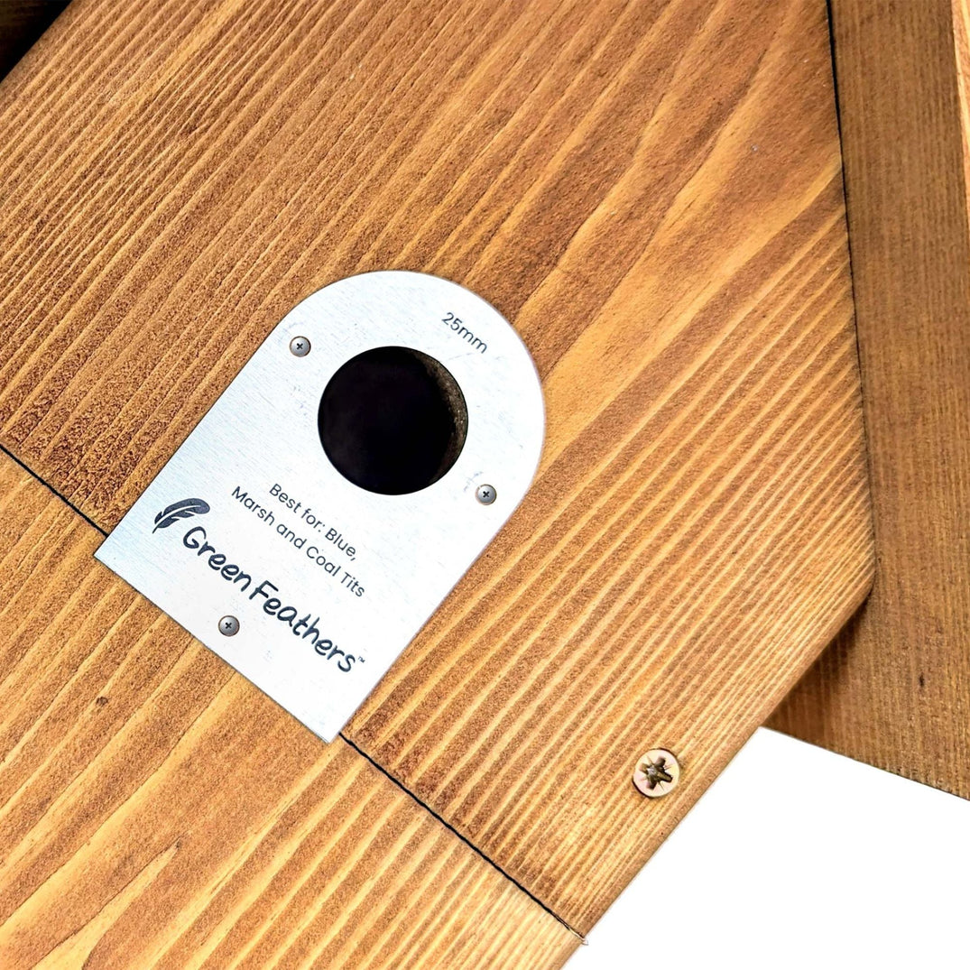 Green Feathers Bird Box Stainless Steel Cover Plates – Home & Roost