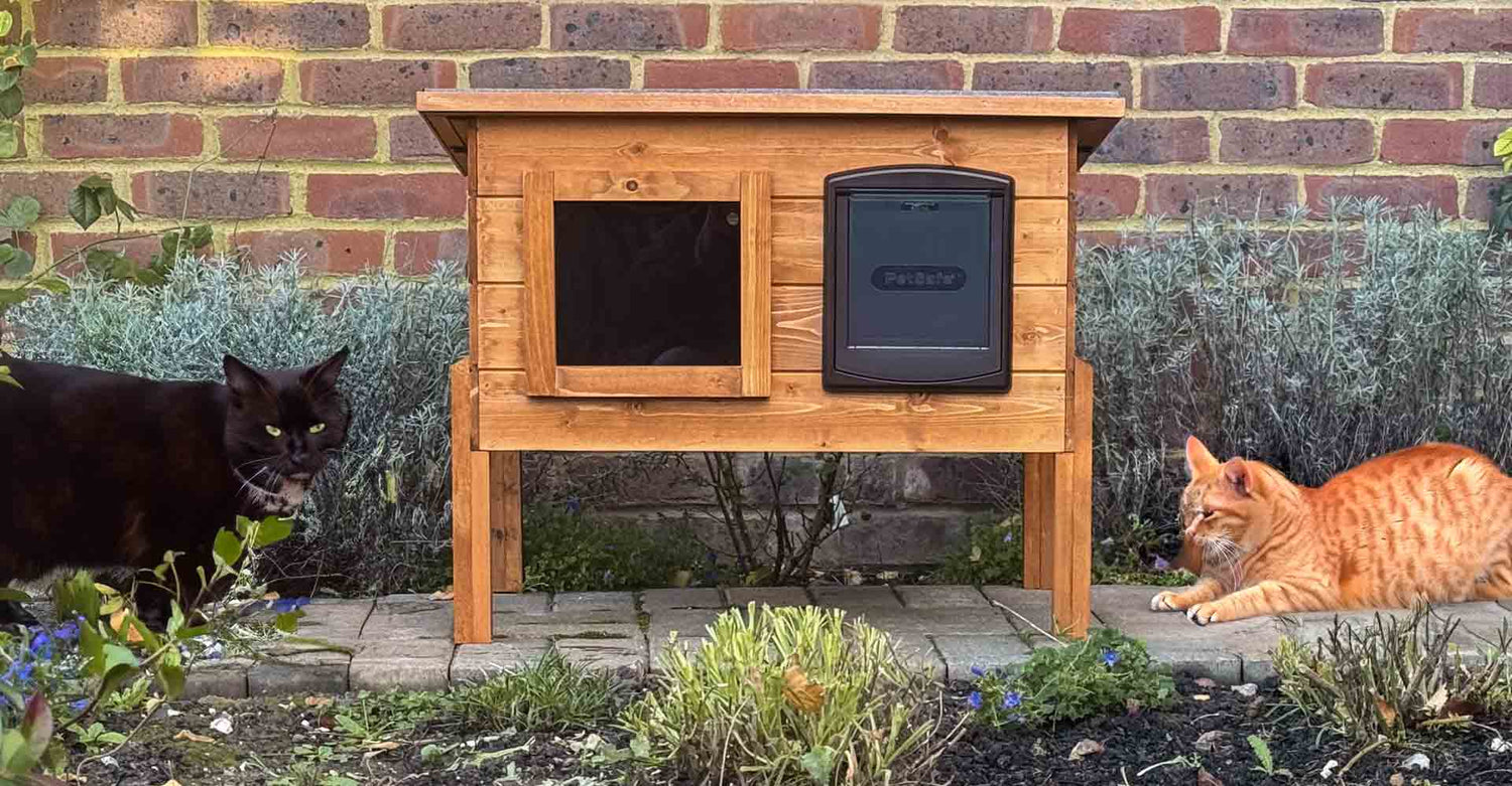 Ultimate Guide: Choosing and Placing the Perfect Outdoor Cat Shelter ...
