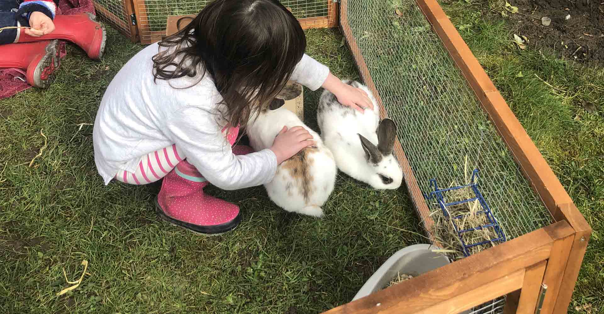 Durable Pet Toys & Boredom Busters for Rabbits | Shop Now – Home & Roost