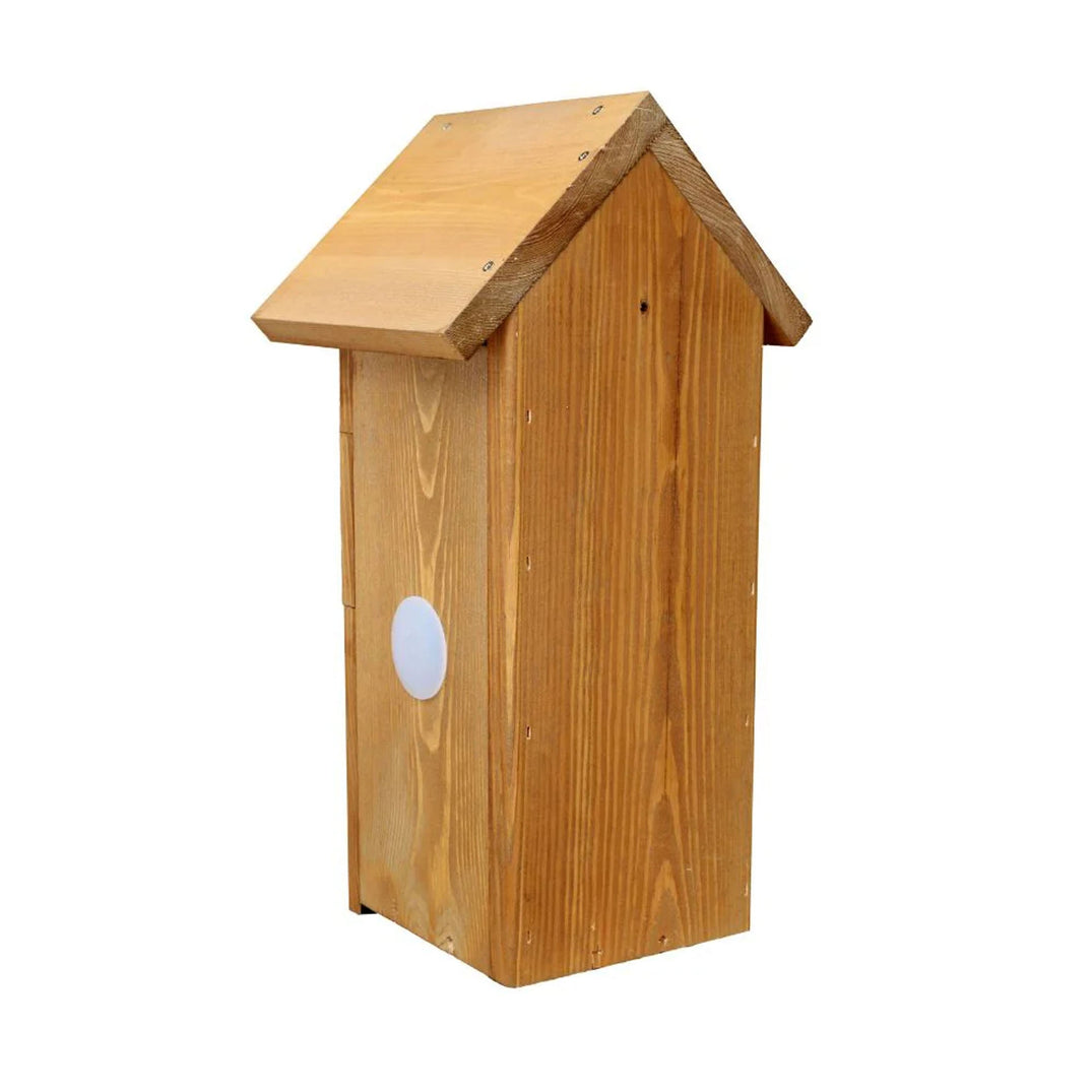Solar Camera Ready Bird Box – Home & Roost