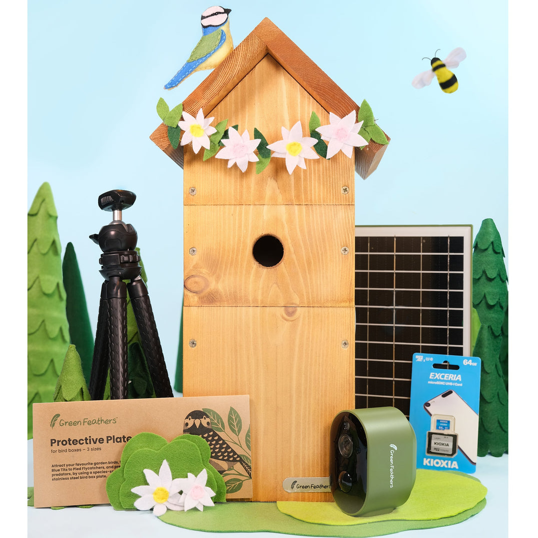 Solar Powered WiFi Bird Box HD Camera Complete Pack – Home & Roost