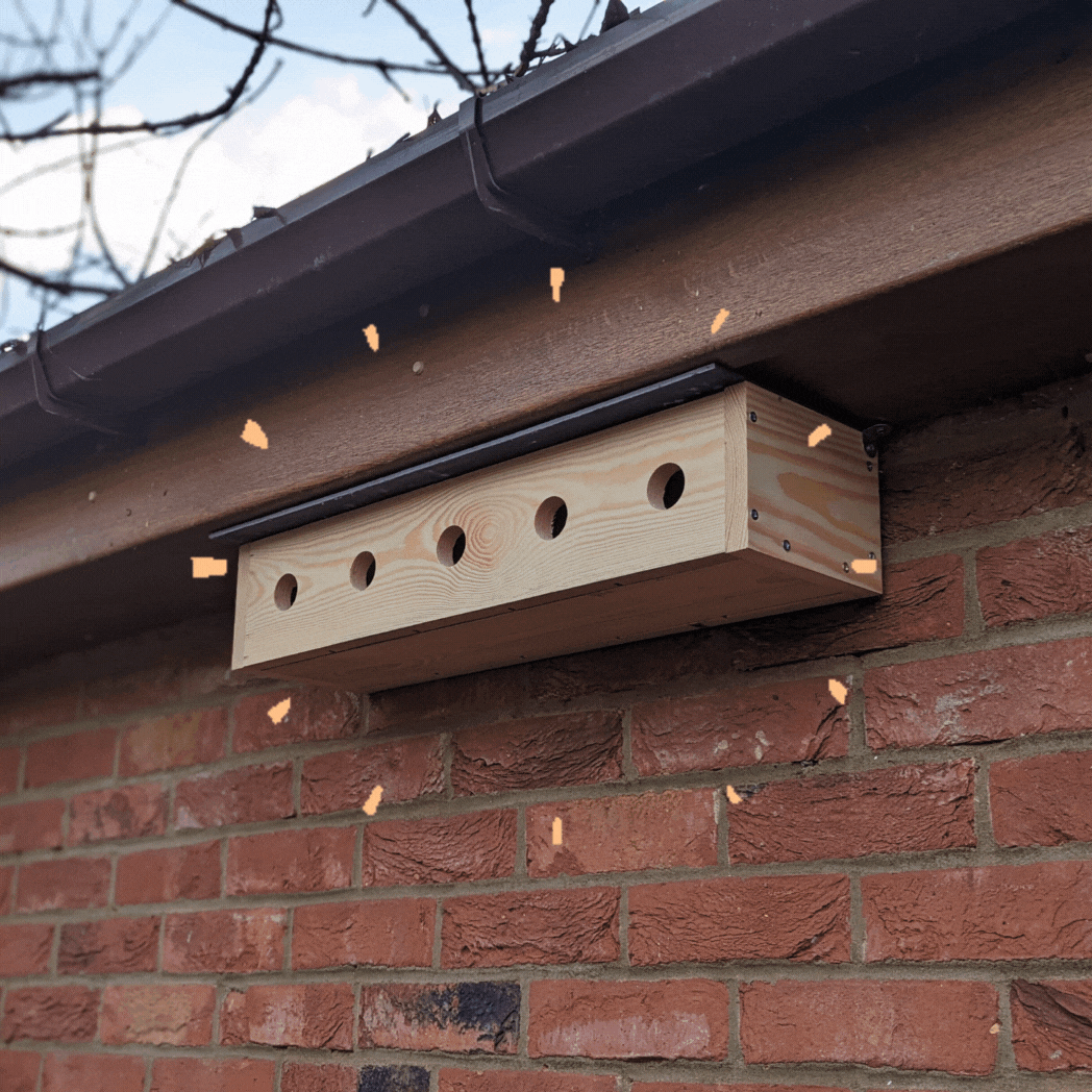 Sparrow Colony Nesting Box with SIG® Slate Roof | 90 Day Free Returns ...