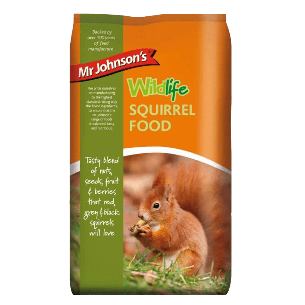 Squirrel Feeders | Fun & Durable Garden Wildlife Care | Home & Roost