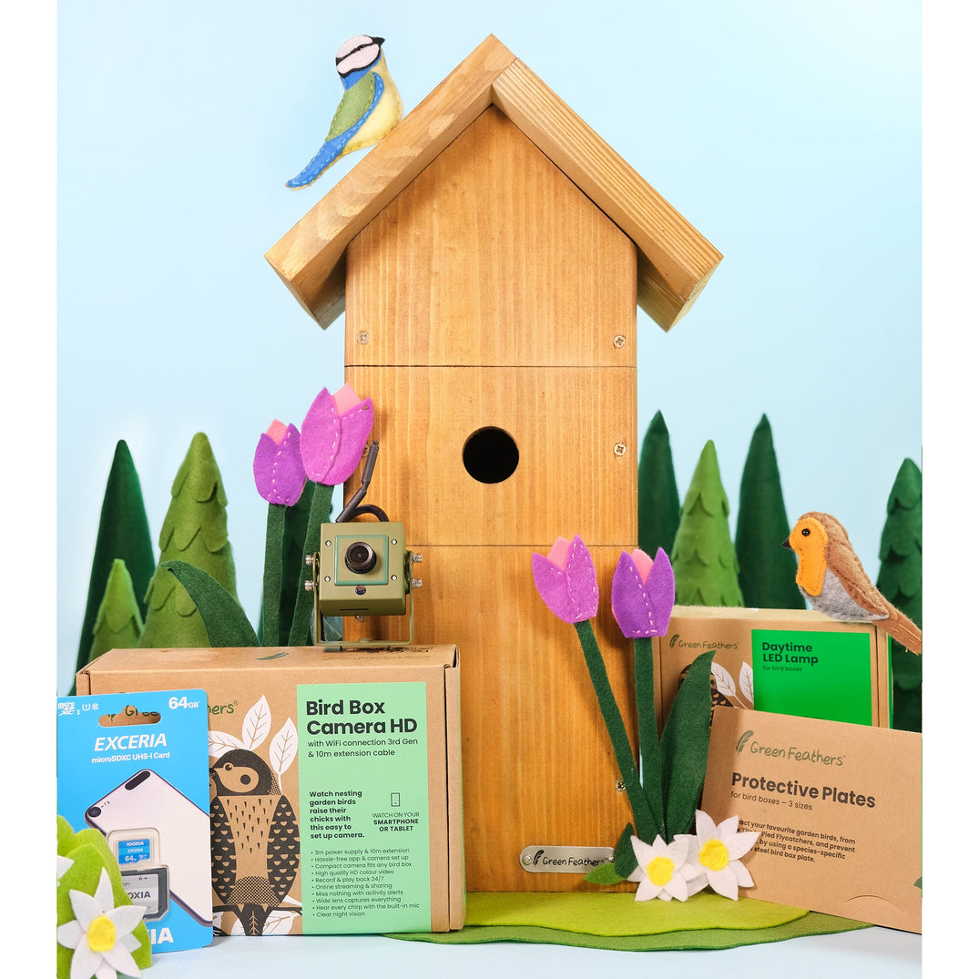 WiFi Bird Box HD Camera Complete Pack – Home & Roost