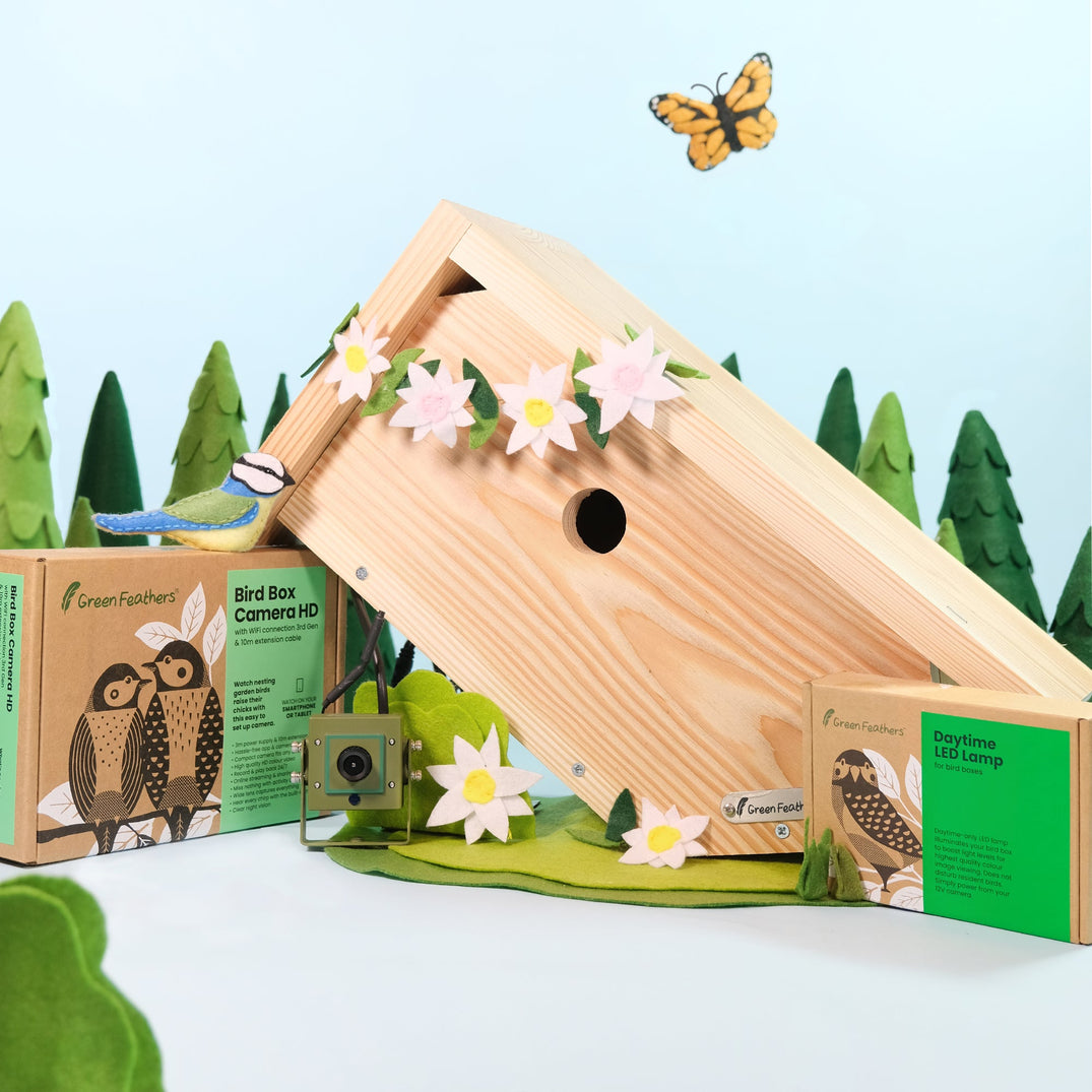 WiFi Side View Bird Box Starter Pack – Home & Roost