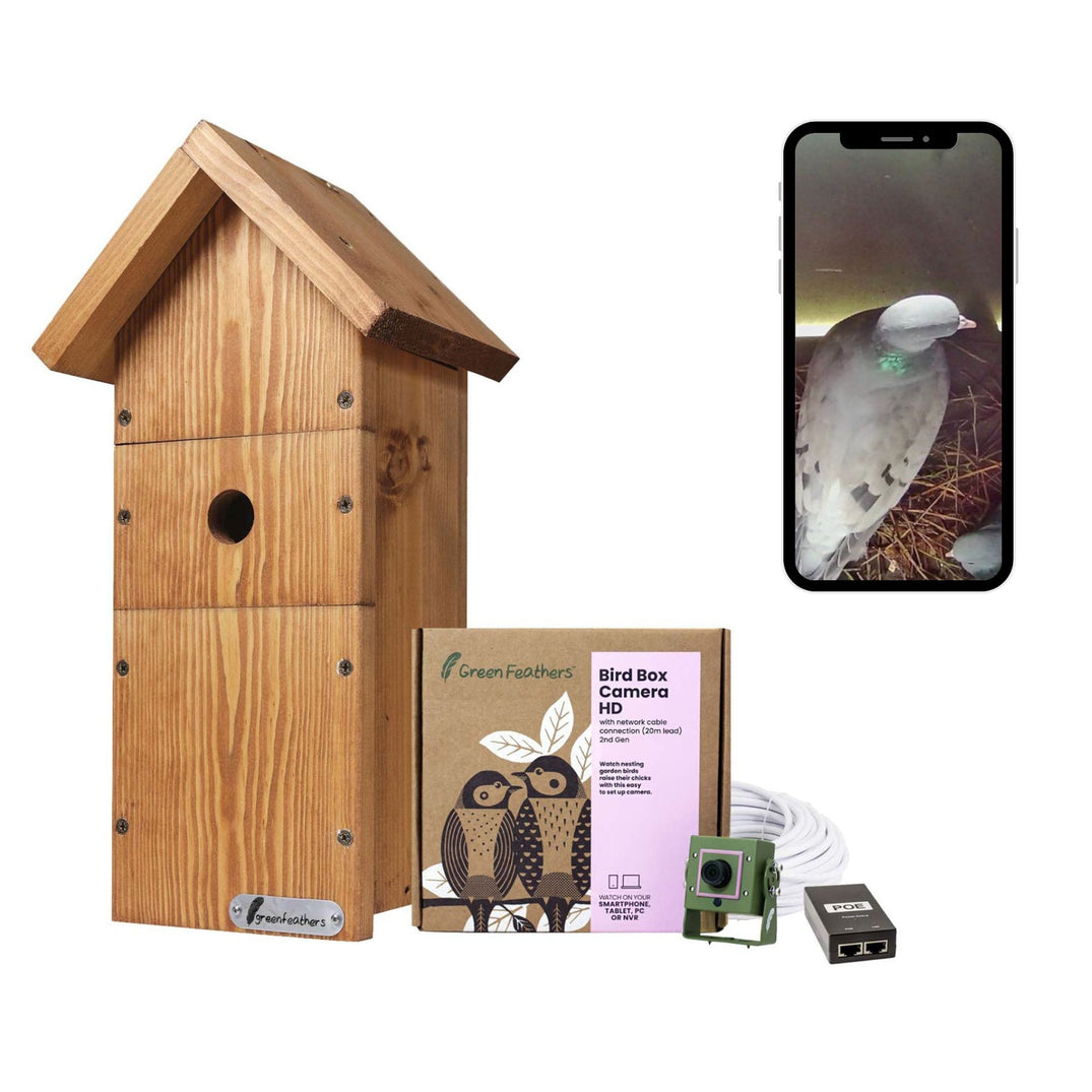 Wired Network Bird Box HD Camera Starter Pack (2nd Gen) – Home & Roost
