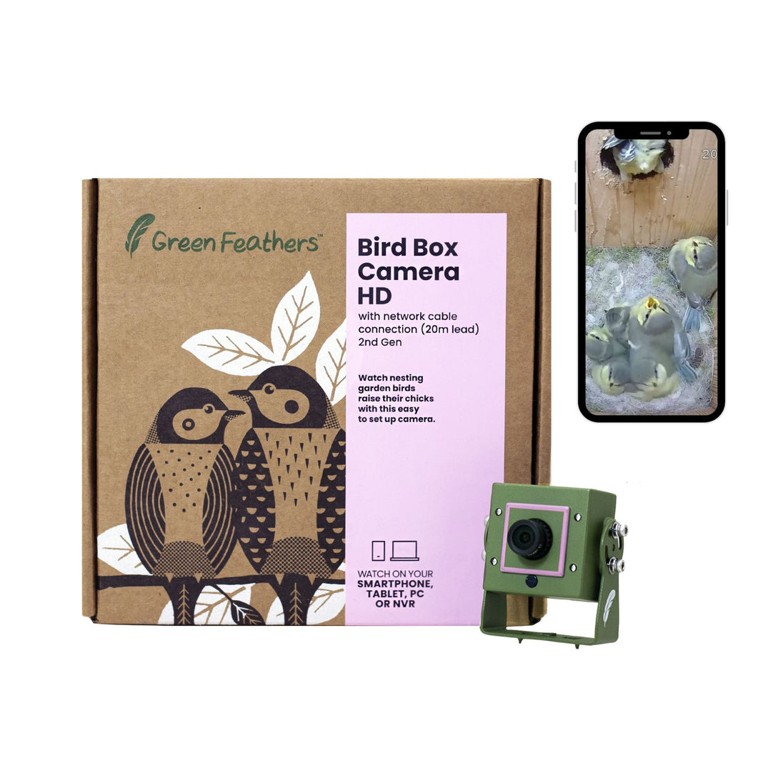 Wired Network Bird Box & Wildlife HD Camera (2nd Gen) – Home & Roost