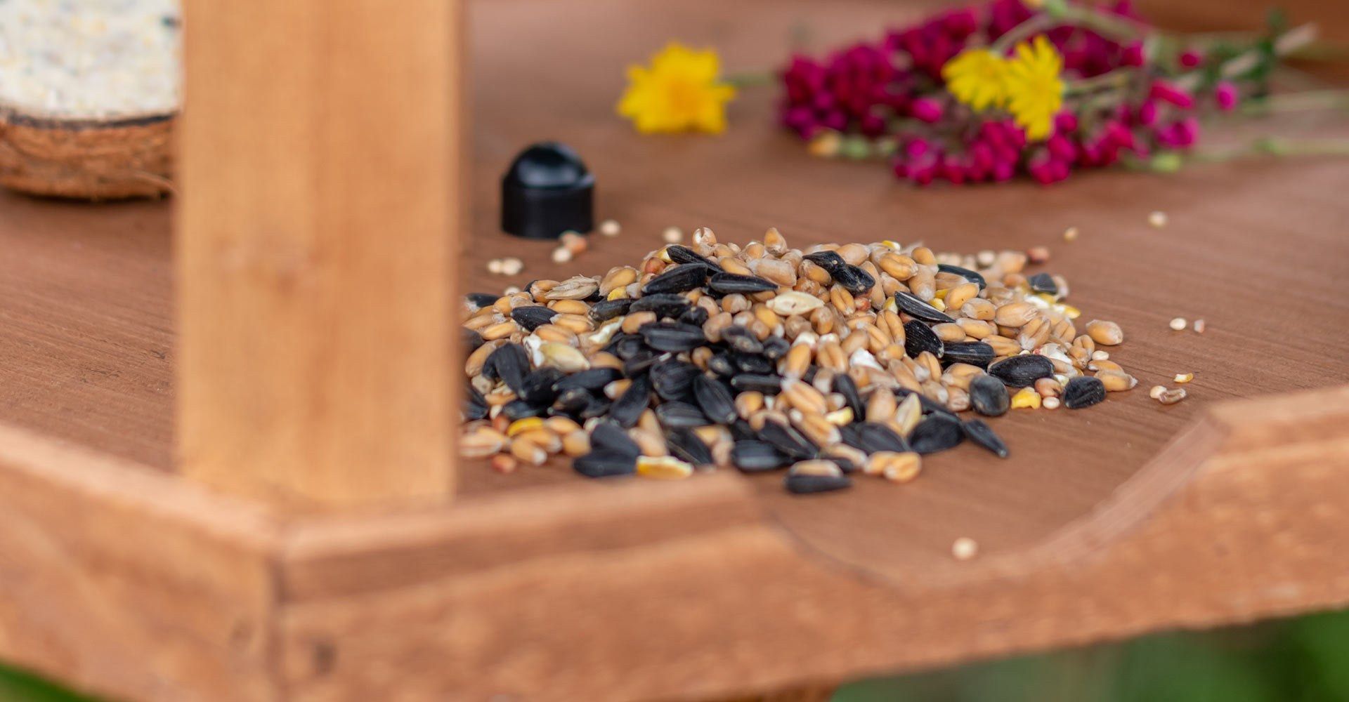 Bird Food For Sale For 2025 Season | 10,734 Happy Customers | Shop Now ...