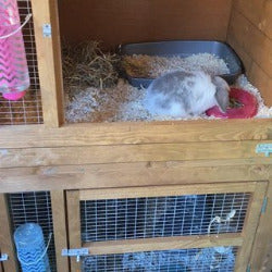 Rabbit Burrow Tunnel System – Home & Roost