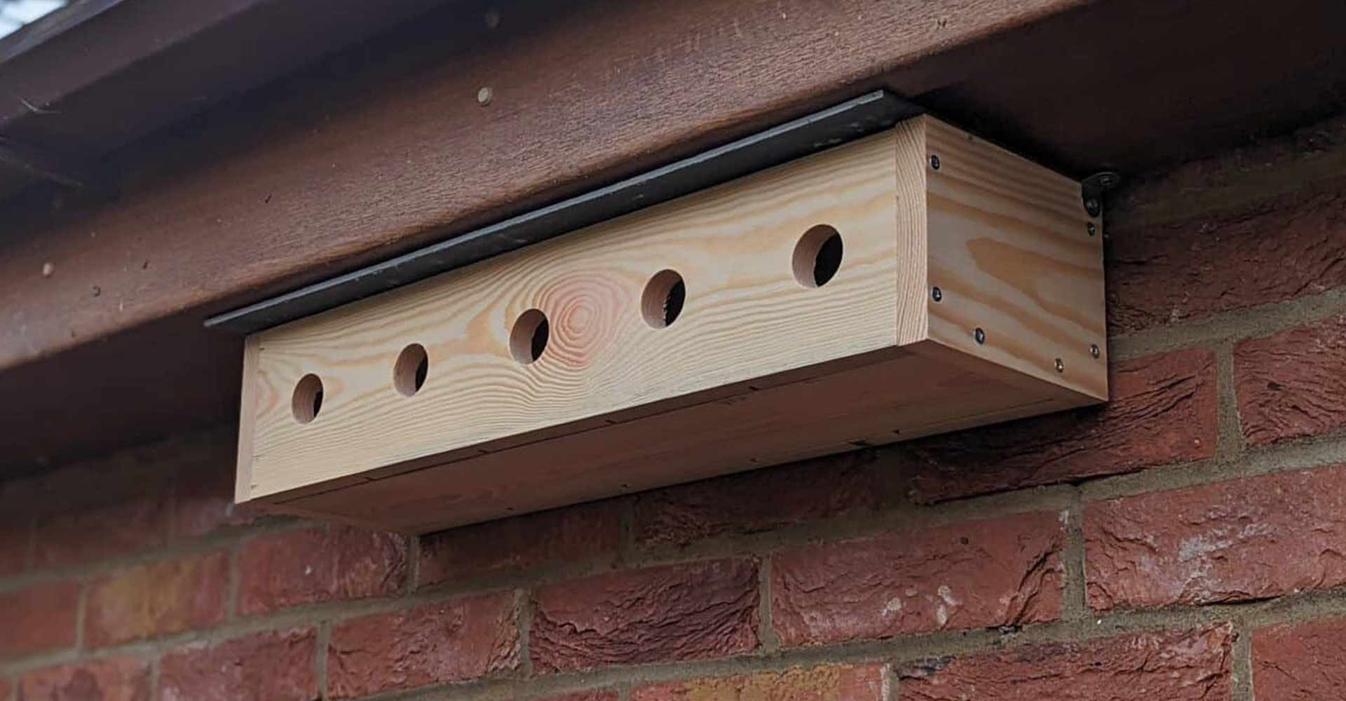Sparrow Colony Nesting Box with SIG® Slate Roof | 90 Day Free Returns ...