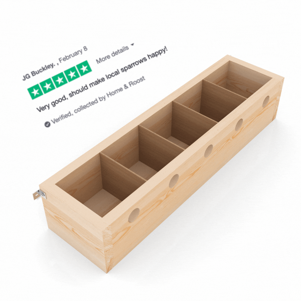 Sparrow Colony Nesting Box with SIG® Slate Roof | 90 Day Free Returns ...
