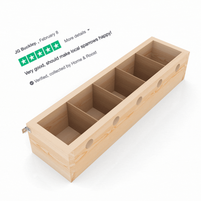 Sparrow Colony Nesting Box with SIG® Slate Roof | 90 Day Free Returns ...